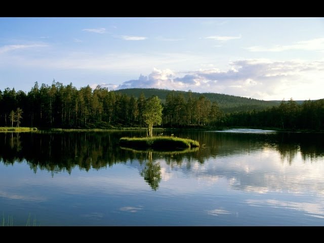 Typisch finnisch? - Skandinavisch Wohnen & Leben